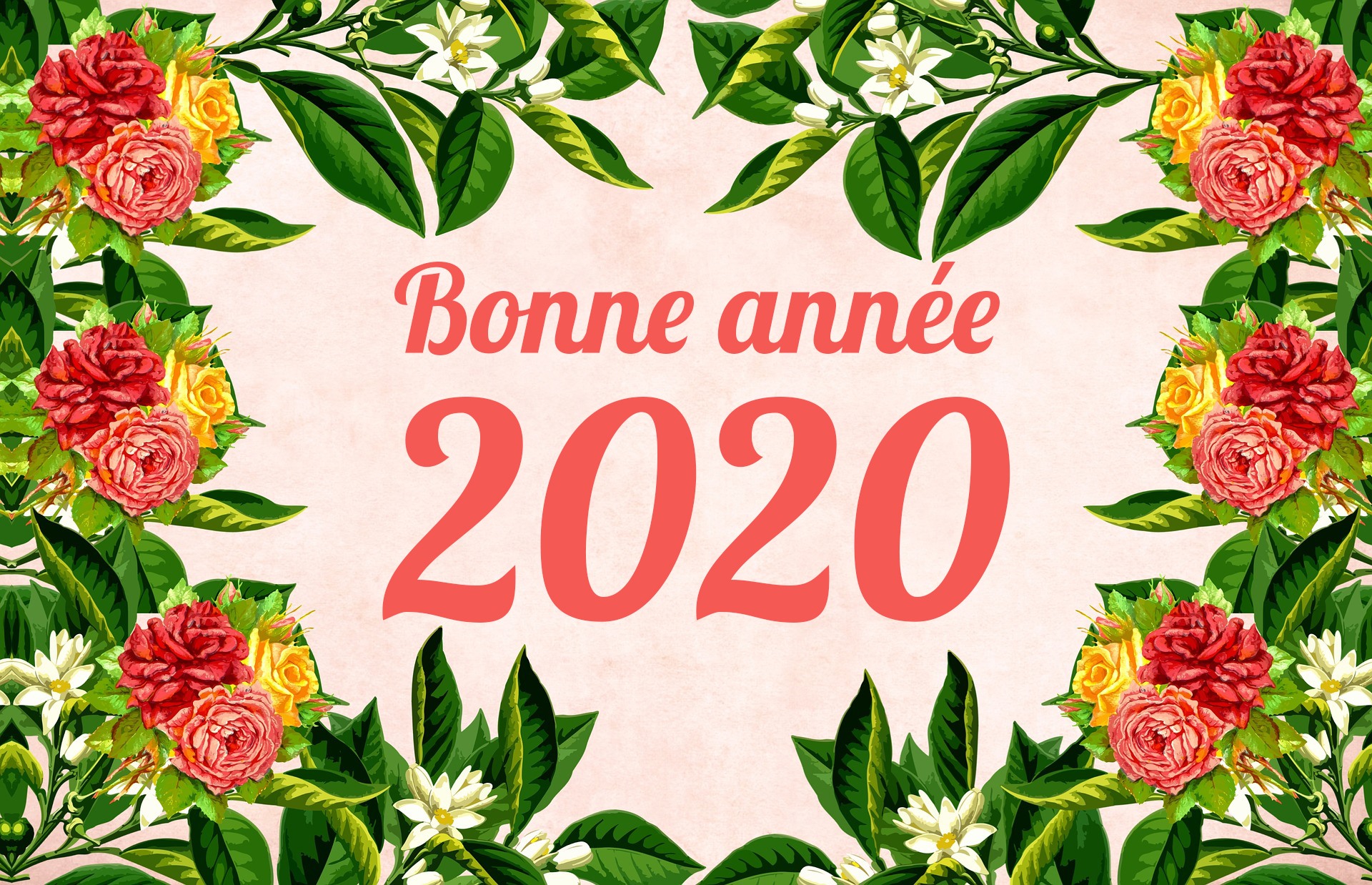 Bonne année 2020 : Une année douce et colorée | Ordissinaute
