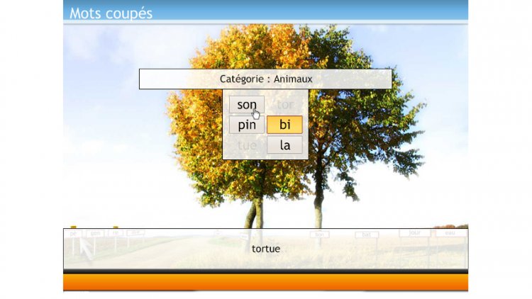 Happy Neuron Mots coupés, reconstituez des mots à partir de syllabes ...